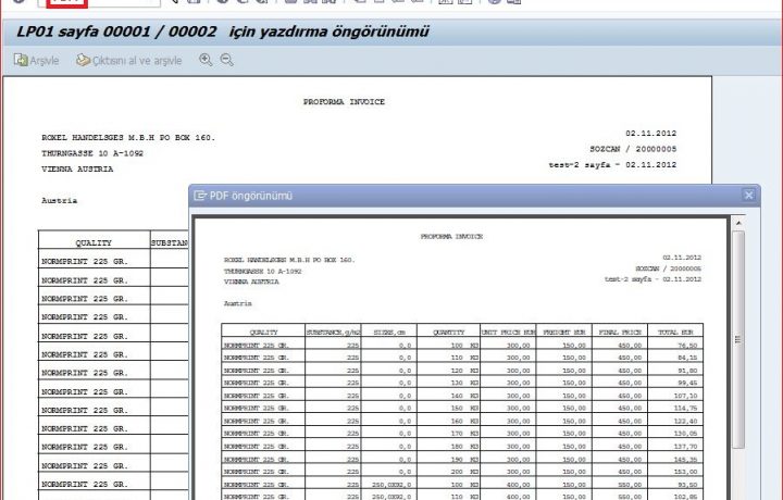 Sap Smartform Print Preview zerinden Pdf Olu turma create Pdf From 